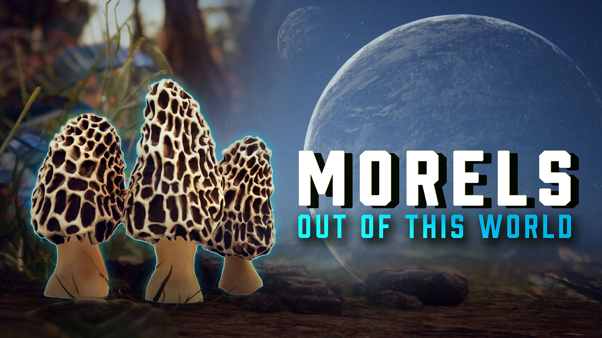 Morels: Out of this World Coming to Steam news - IndieDB