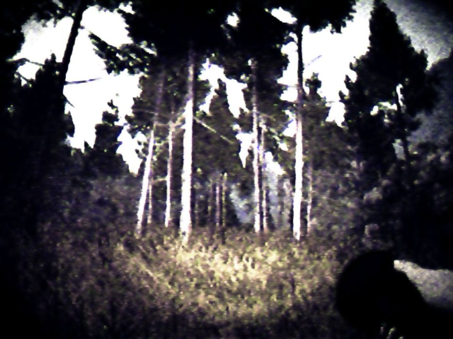 Slender: The Arrival - MH Edition Windows, Mac game - IndieDB
