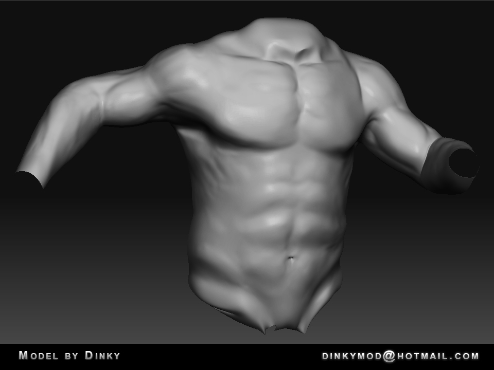Torso image - 3D Artists Group - IndieDB