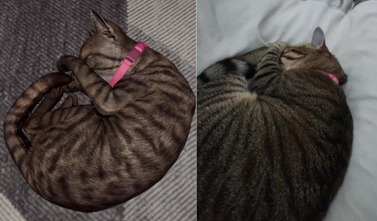 The 18th Attic - You have a pet cat with you that restores your sanity ...